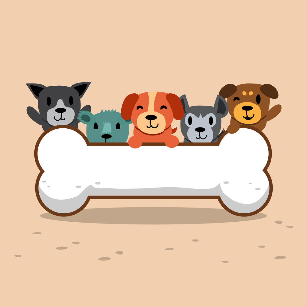 Know About These Dog Breeds – Ruse