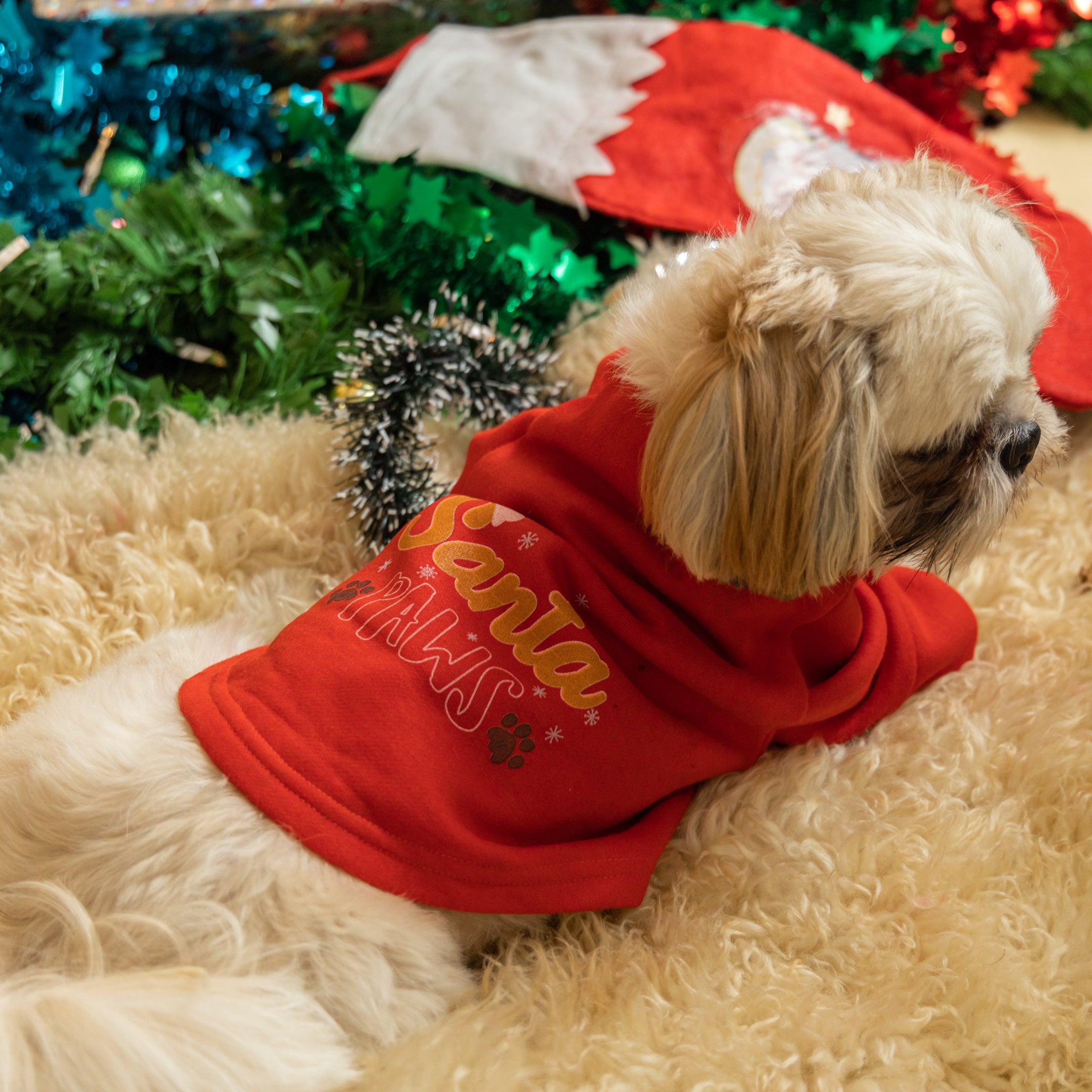 Christmas Collection For Dogs – Ruse