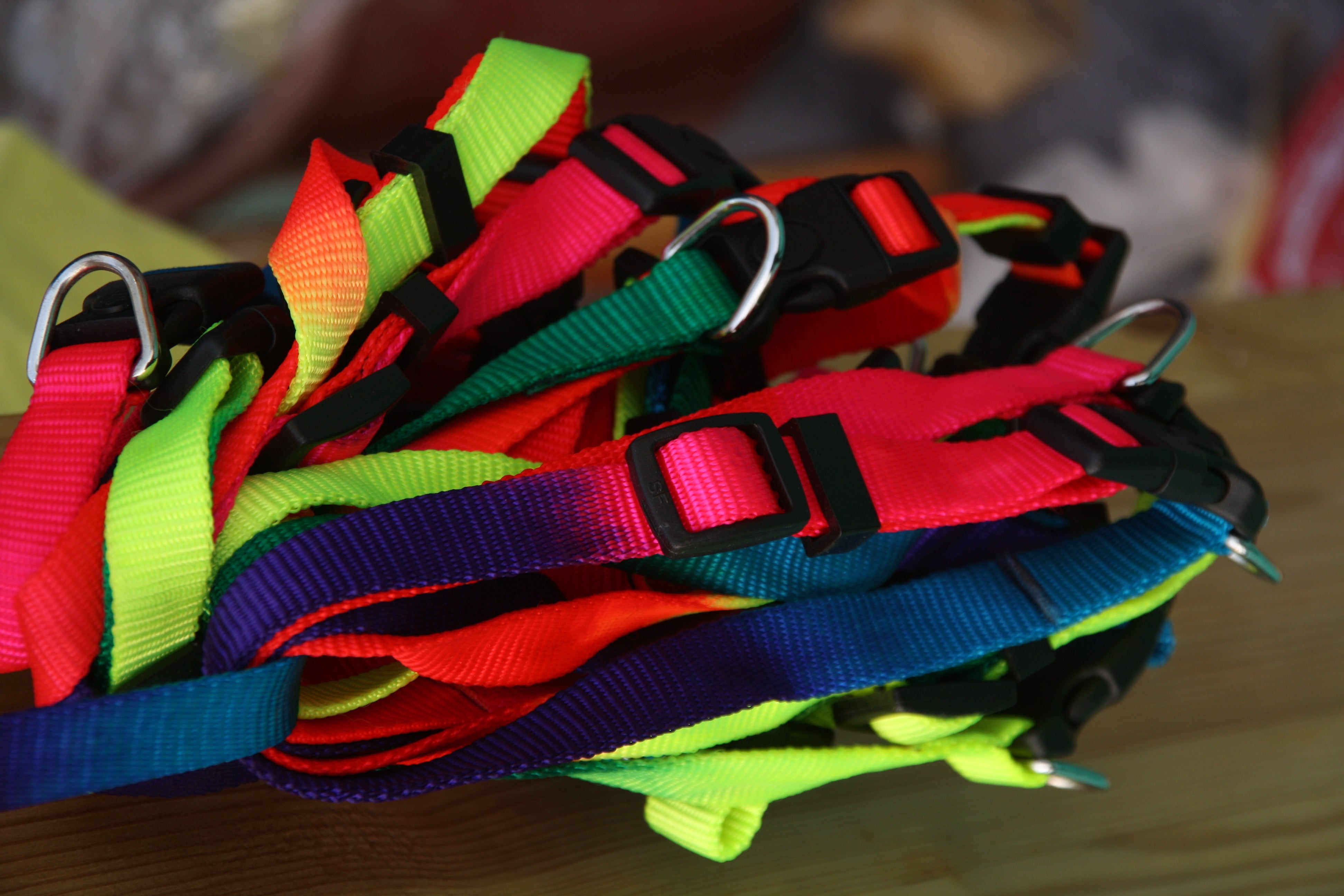 Cat Collars – Ruse
