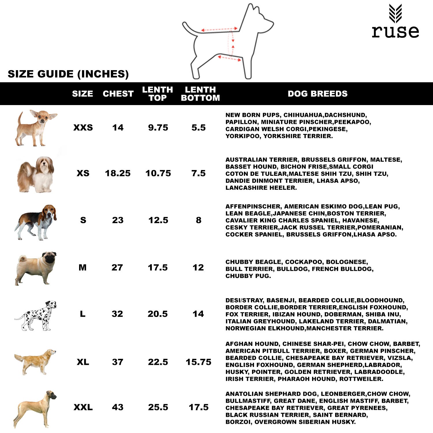 Dog Size Chart – Ruse