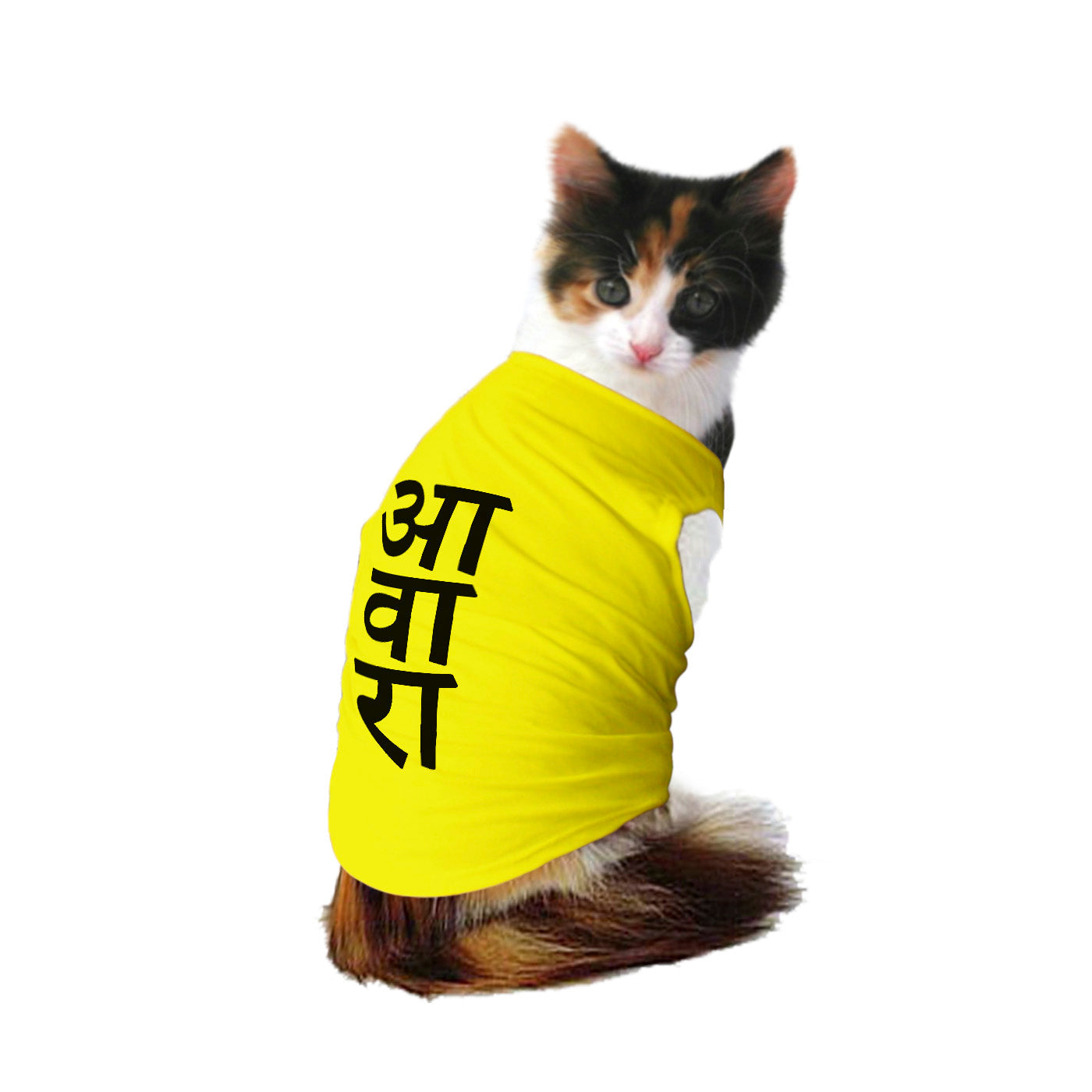 Clothes for Cats and Puppy "Awara" Cat Tee | Ruse.in